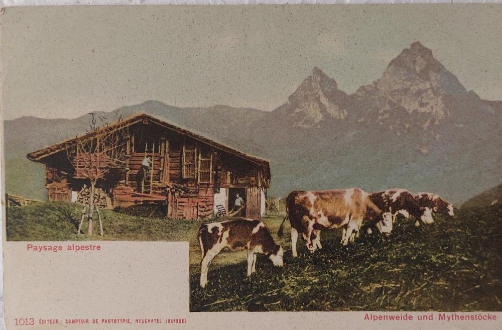 MYTHENSTÖCKE - Alpenweide (Gebraucht) in Delémont für CHF 2.8 – mit ...