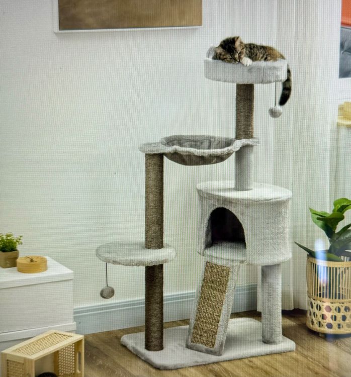 Arbre à chat NEUF (Neu und originalverpackt) in Denens für CHF 40 – nur ...