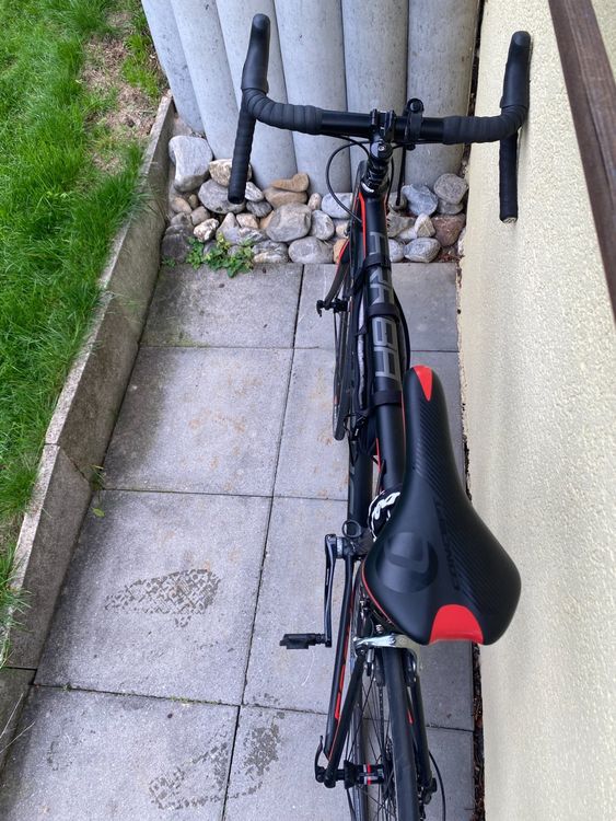 Rennvelo Focus Arriba | Road Bike (Gebraucht) in Rüti ZH für CHF 770 ...