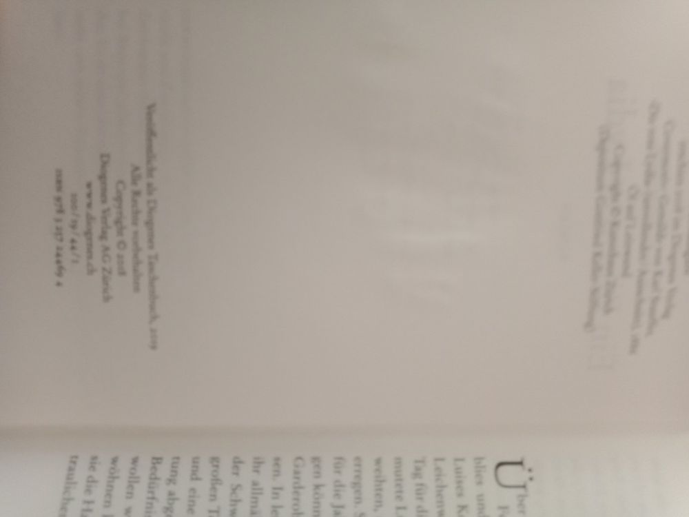 Lukas Hartmann der Sänger ein Bild von Lydia Roman Schweiz | Kaufen auf ...