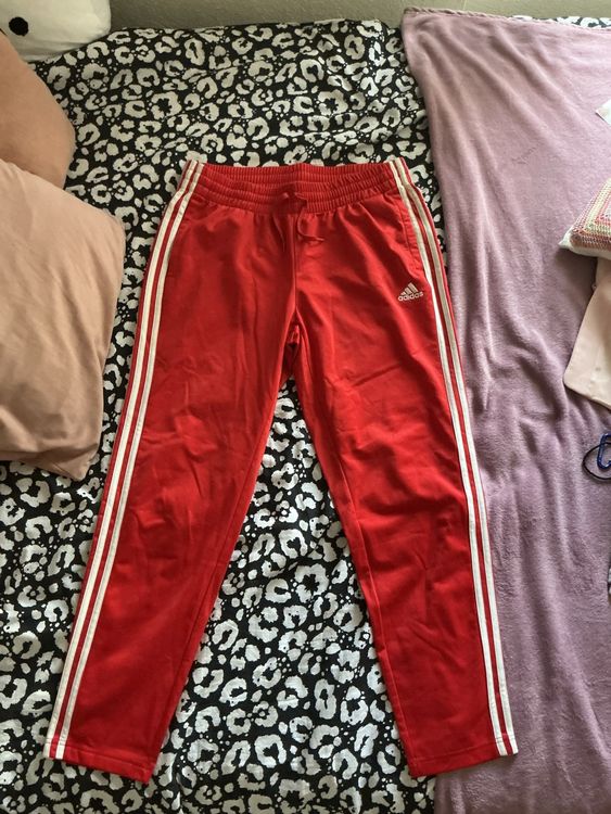 Bas de survêtement Firebird Adidas (Neuf (Voir description)) à Biel ...