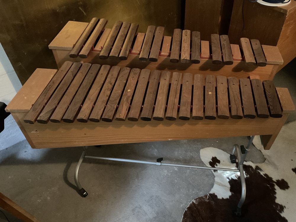 Xylophon (Gebraucht) in Dietikon für CHF 99 – nur Abholung auf Ricardo ...