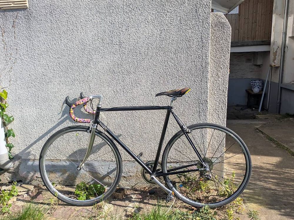 Bici da corsa Rossin Record (fine 1970) (Gebraucht) in Ponte Tresa für ...