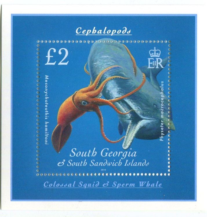 Block "Wal & Koloss-Kalmar". Südgeorgien und die Südlichen S | Kaufen ...