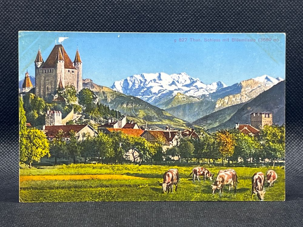 Thun. Schloss mit Blüemlisalp (3669m) (Gebraucht) in Widnau für CHF 3 – mit Lieferung auf ...