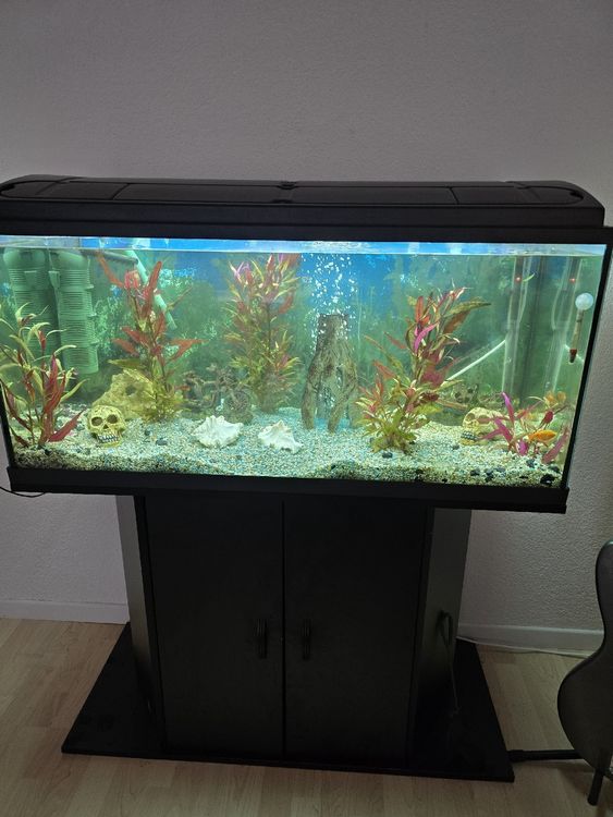 Komplettes 180-Liter-Aquarium 100×40×40 (Gebraucht) in Rudolfstetten ...