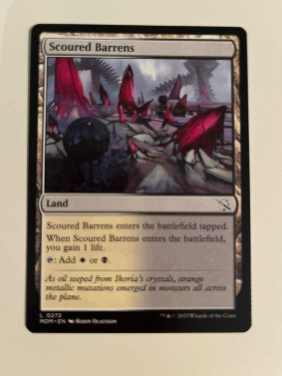 1 x Scoured Barrens - Magic: The Gathering - MtG (Gebraucht) in Kriens ...