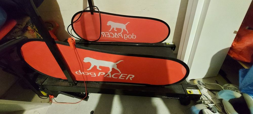 Hundelaufband Dogpacer Minipacer (Gebraucht) in Gersau für CHF 300 ...