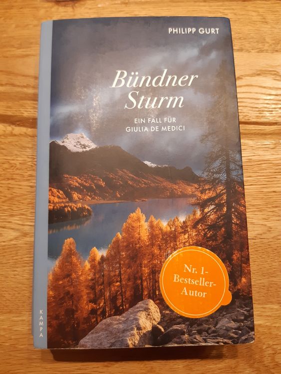 Bündner Sturm von Philipp Gurt (Gebraucht) in Bassersdorf für CHF 8 ...