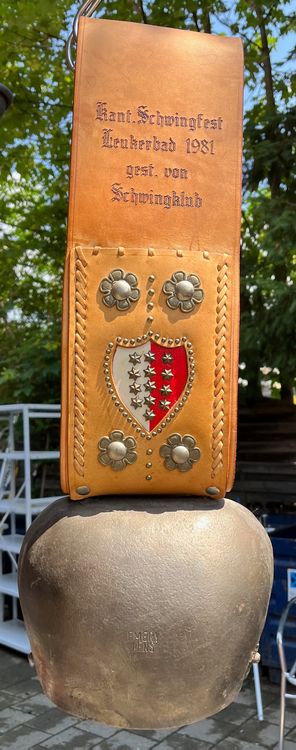 Treichel Wallis Emry Lens | Kaufen auf Ricardo