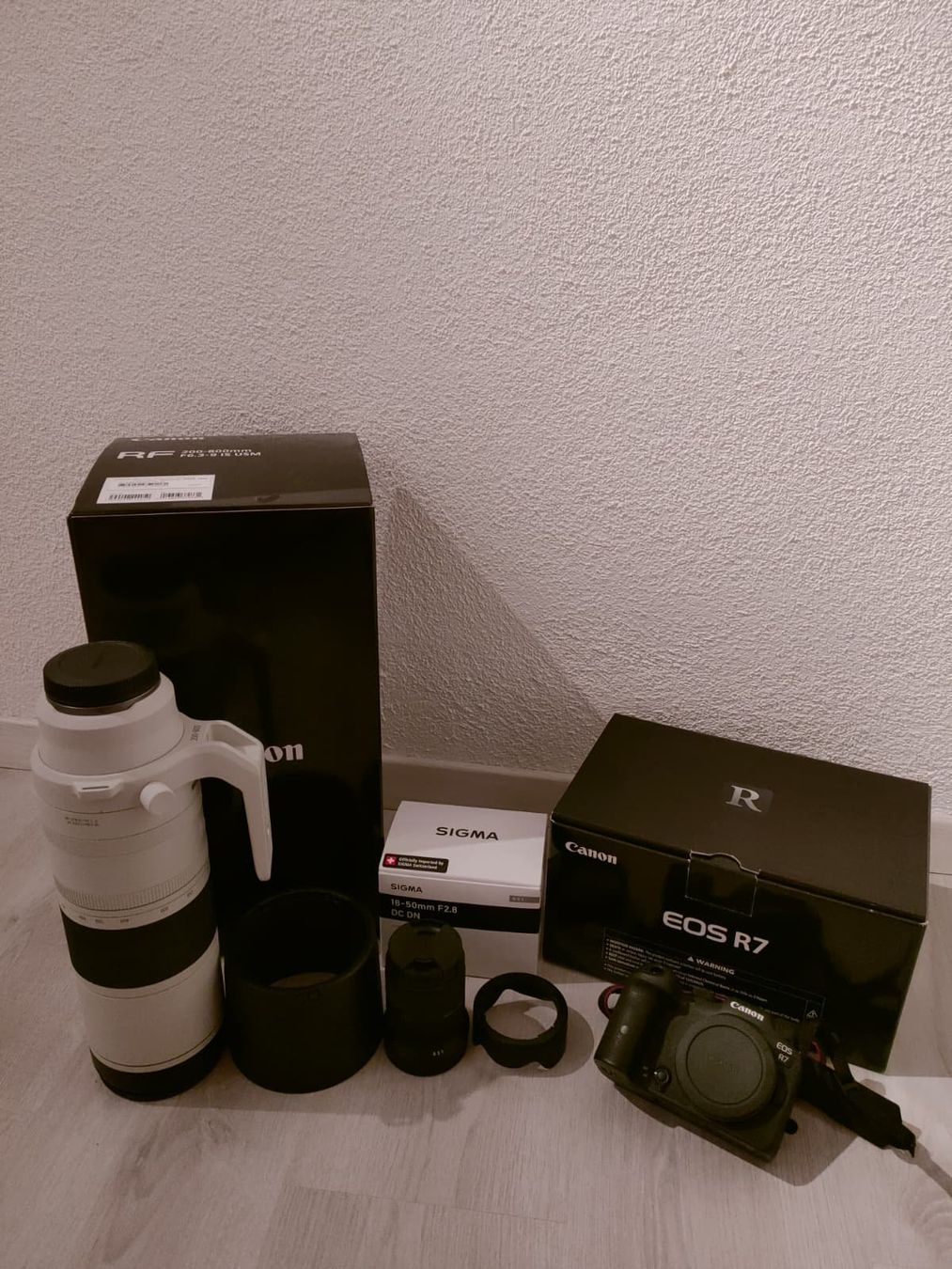 Canon EOS R7/ Canon RF 200-800mm/ Sigma 18-50mm (Neu (gemäss ...