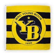 YB Tickets (Neu (gemäss Beschreibung)) in Ostermundigen für CHF 60 ...