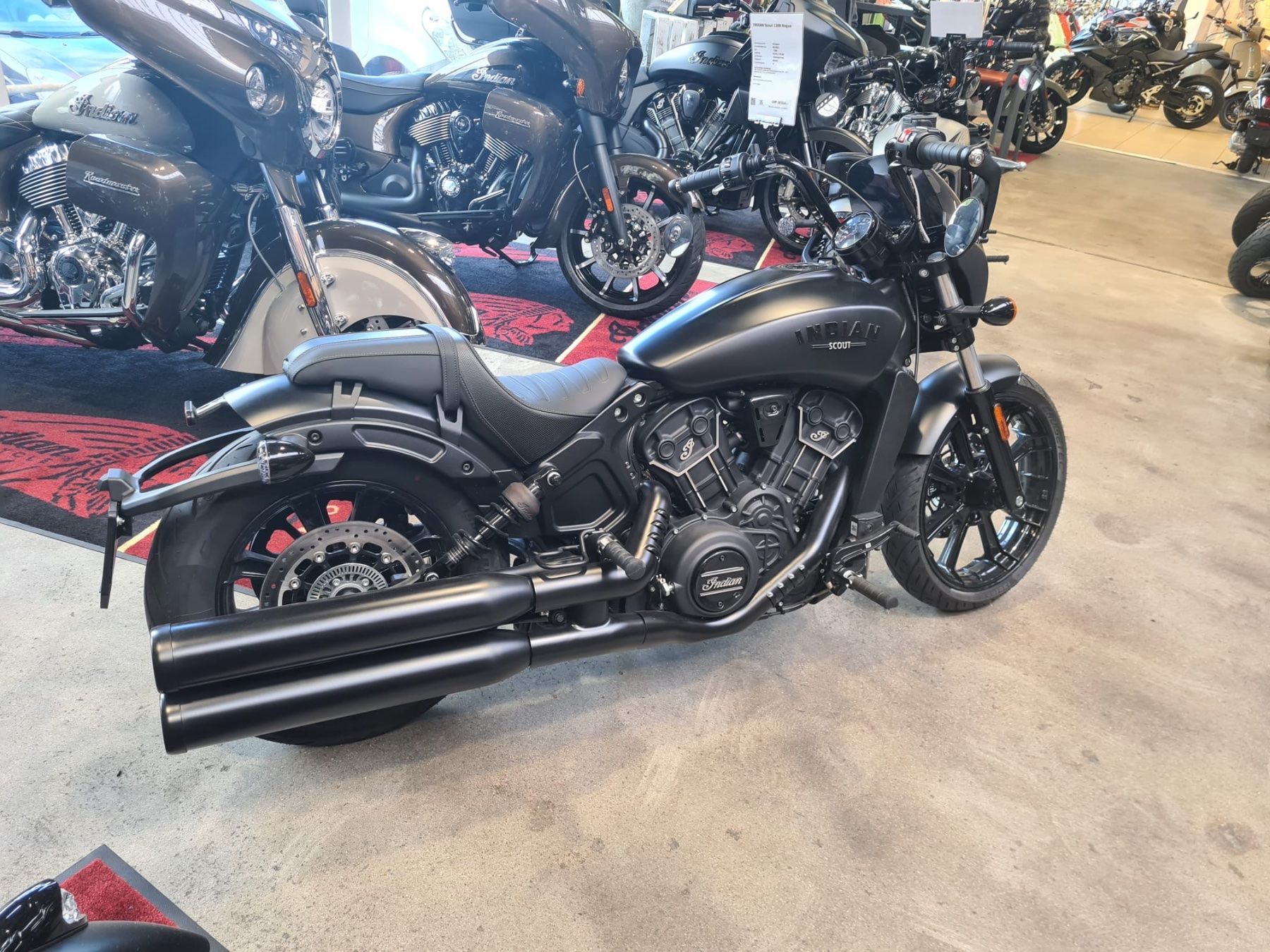 Indian Scout Rogue (Neu (gemäss Beschreibung)) in St. Gallen für CHF ...