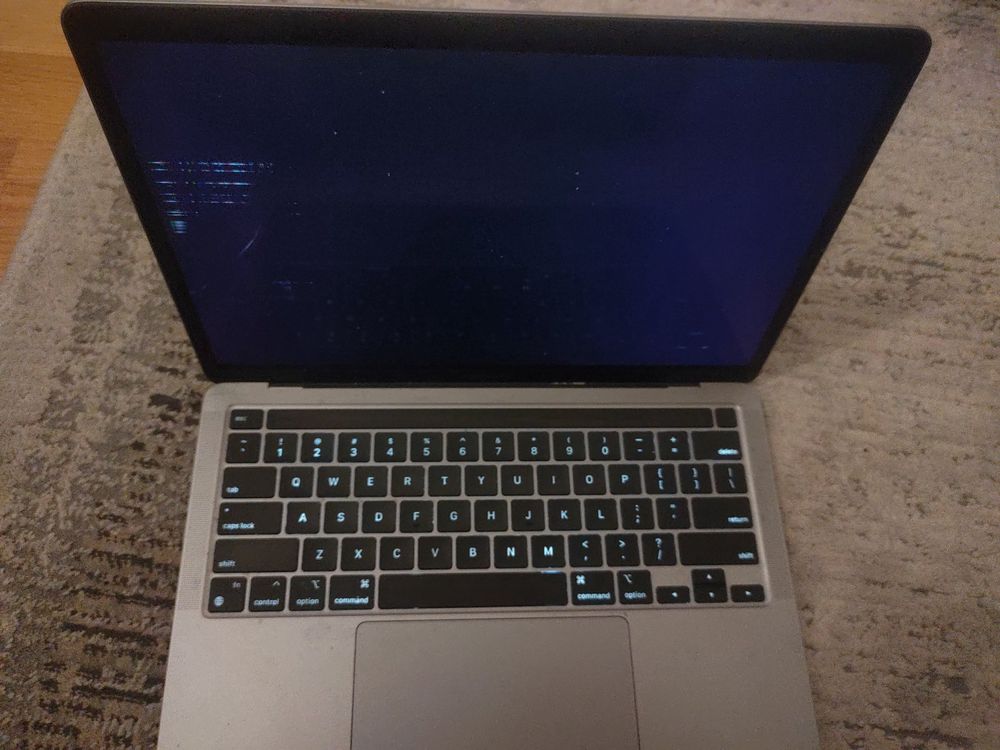 MacBook Pro (13-inch, M1, 2020) 16GB 256GB - damaged screen (Defekt) in ...
