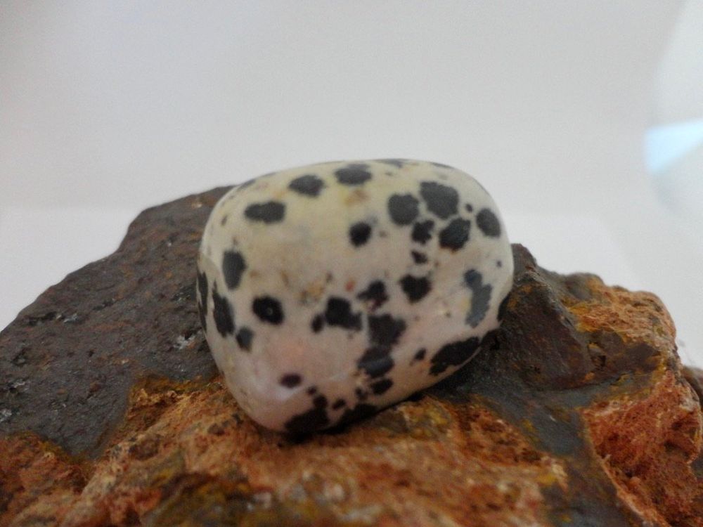 Dalmatiner-Jaspis Heilstein (Neu (gemäss Beschreibung)) in Biberist für CHF 7 – mit Lieferung ...