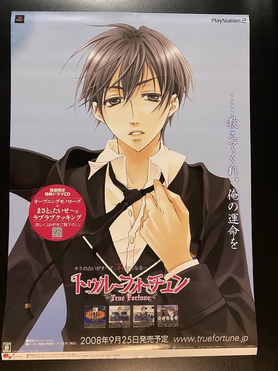 True Fortune PS2 Video Game Poster aus Japan B2 | Kaufen auf Ricardo