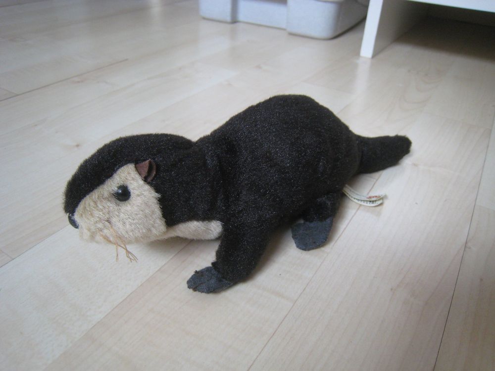 Mini River Otter Plüschtier FOLKMANIs Puppets (Gebraucht) in Dättlikon ...