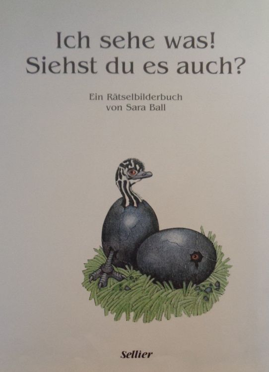 Sara Ball - Rätsel - Bilderbuch / Ich sehe was, siehst du es | Kaufen ...