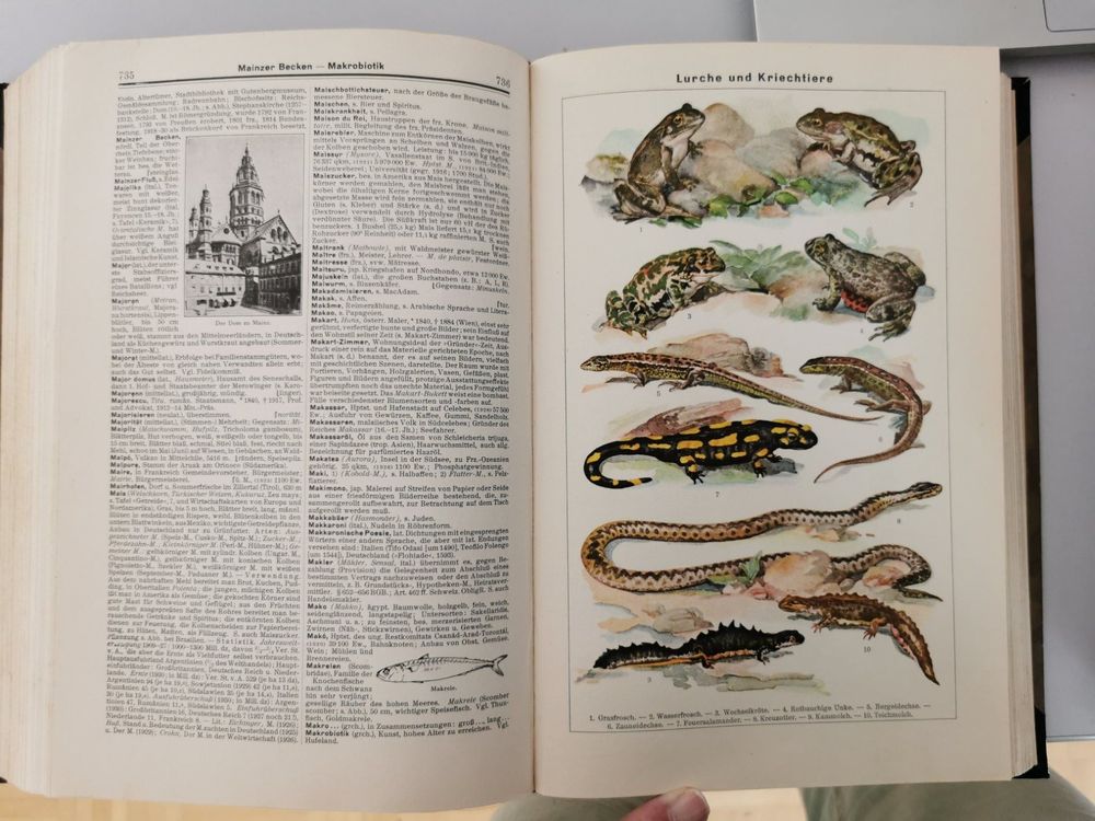 Meyers Kleines Lexikon 8te Auflage 1931/1932 (Gebraucht) in Gockhausen für CHF 25.5 – mit ...