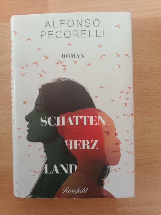 Alfonso Pecorelli Schattenherzland Roman Freundschaft Afrika | Kaufen ...
