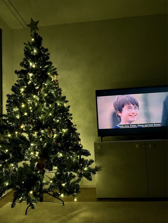 Christmas Tree (Gebraucht) in Suhr für CHF 55 – nur Abholung auf ...