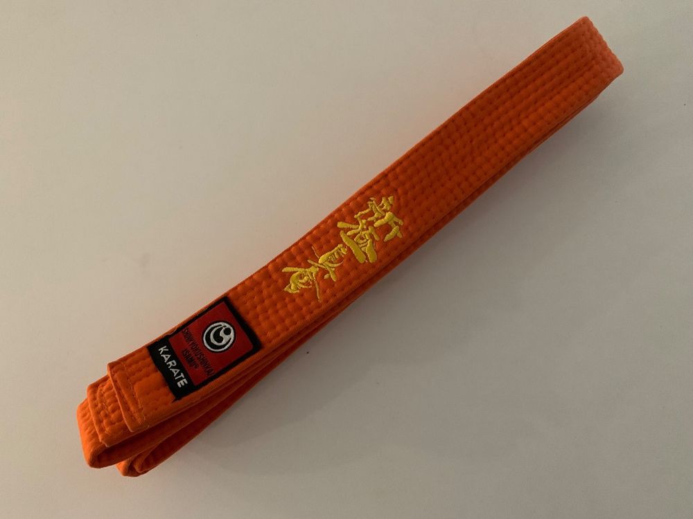 Ceinture orange Karaté Kyokushin - 300cm | Kaufen auf Ricardo