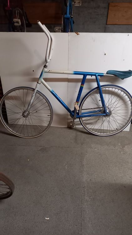 Radball Velo mit Ball | Kaufen auf Ricardo