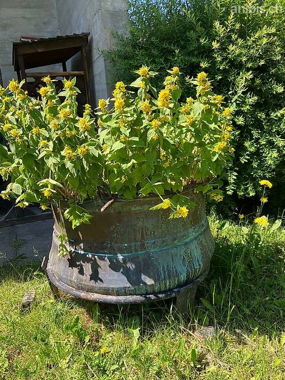 Sitemapcdatahttpsrfswindecoocomvasque De Jardin D Occasion