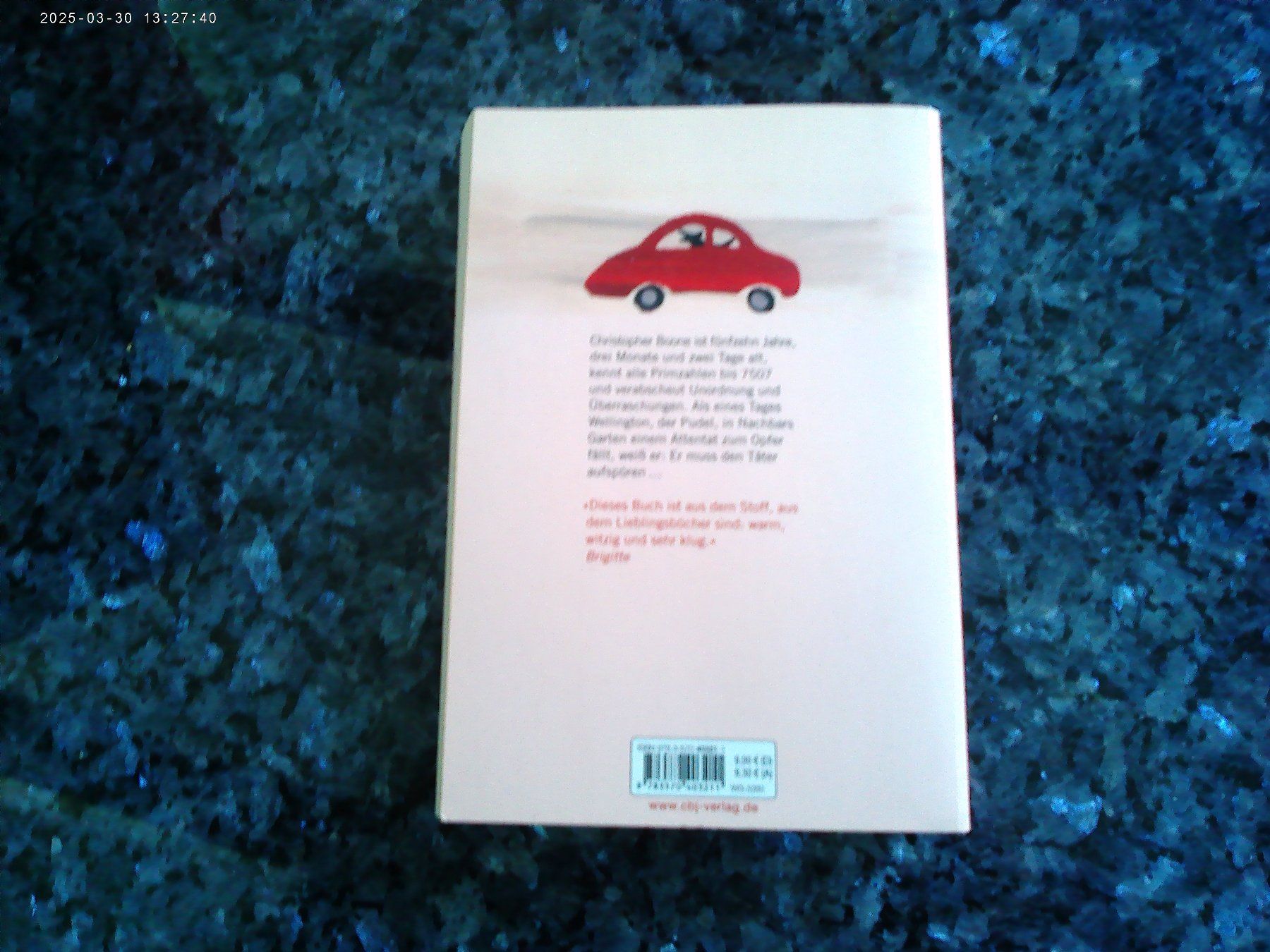 Supergute Tage oder die sonderbare Welt des Christopher Boon (Gebraucht ...