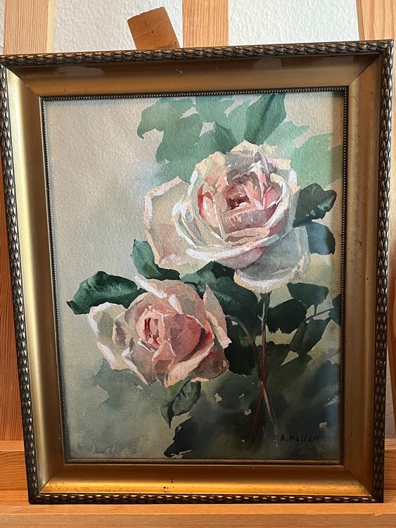ANNA HALLER (1872-1924) Vintage Rose Aquarell - Signiert (Gebraucht) in ...