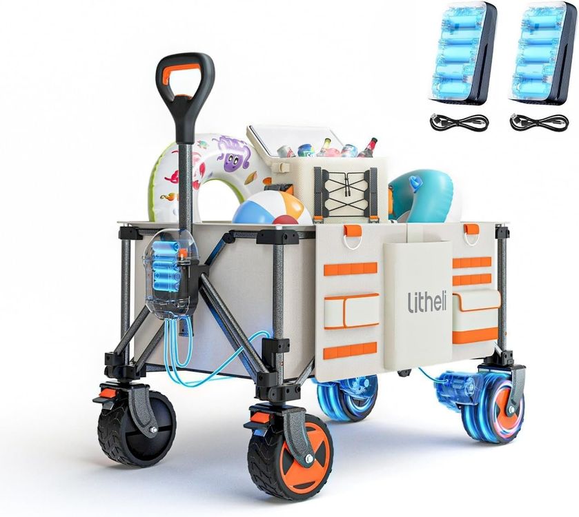 Litheli eWagon W2 Pro Elektro-Wagen (Neu und originalverpackt) in ...