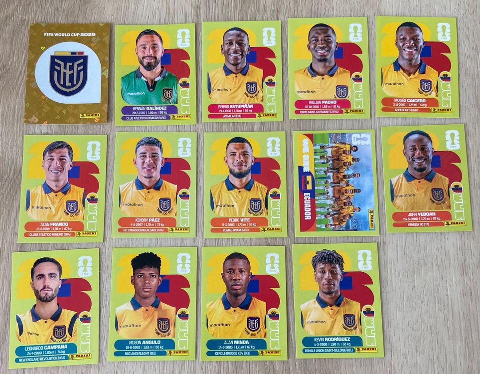 Panini WM 2026 diverse Spieler der Ecuador Mannschaft (Neu (gemäss ...