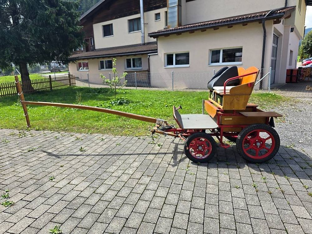 Shetty-Kutsche, 2 Geschirre und 2 Zäume Anton Vogt (Gebraucht) in ...