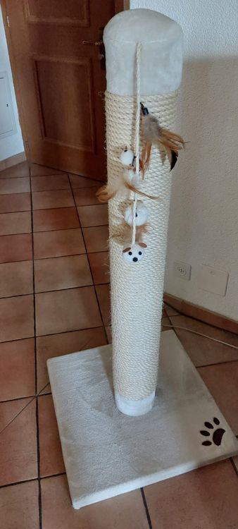 XXL Kratzstamm Premium ab 1Fr.- | Kaufen auf Ricardo