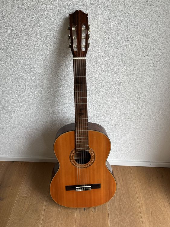 Gitarre Aria | Kaufen auf Ricardo