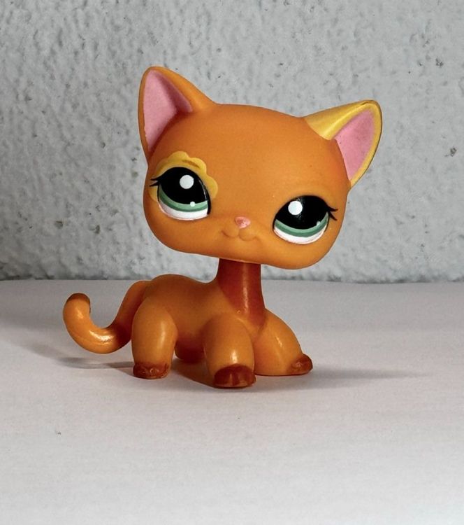 Littlest Pet Shop LPS Shorthair (Gebraucht) in Luzern für CHF 18 – mit ...