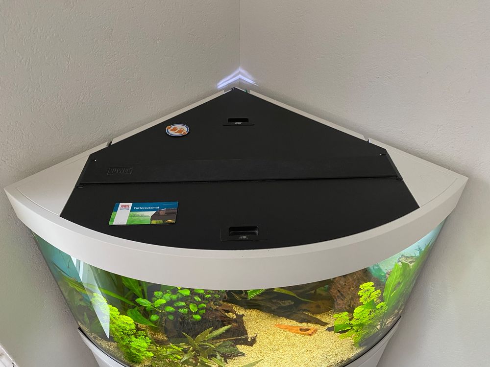 Aquarium Juwel Trigon 190, komplett (Gebraucht) in Auw für CHF 345 ...
