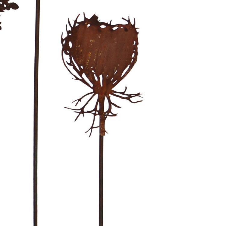 Queen Anne's Lace Knospe 30-20cmcm, Stab 120cm (Neu und ...