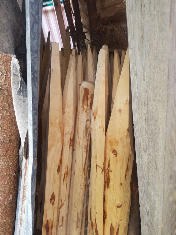 Zaunpfähle Holz Pfahl (Neu (gemäss Beschreibung)) in Morgarten für CHF ...