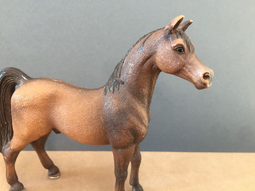 Schleich Araber Hengst 13629 Pferd (Gebraucht) in Ennetbaden für CHF 16 – mit Lieferung auf ...