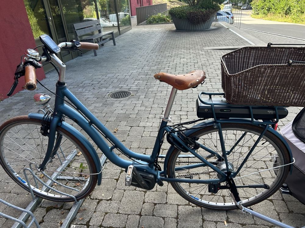 Elegantes Bike 24 Erfahrungen Fotos