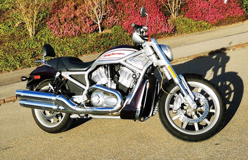 Harley-Davidson VRSCR Street Rod | Kaufen auf Ricardo