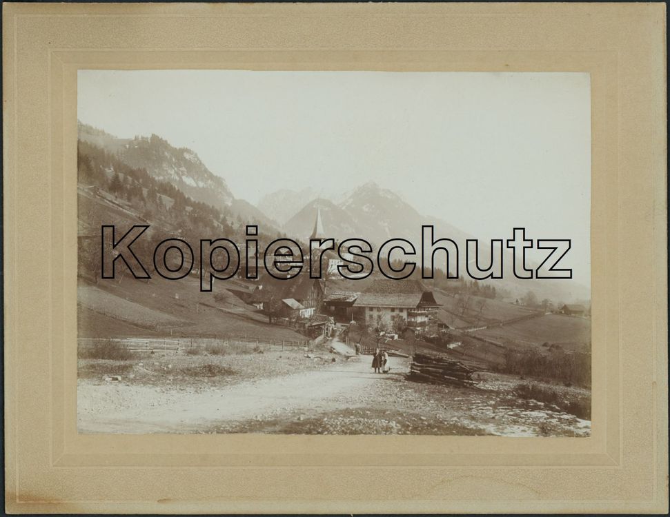 BE Oberwil im Simmental (Neu (gemäss Beschreibung)) in Schindellegi für CHF 195 – mit Lieferung ...