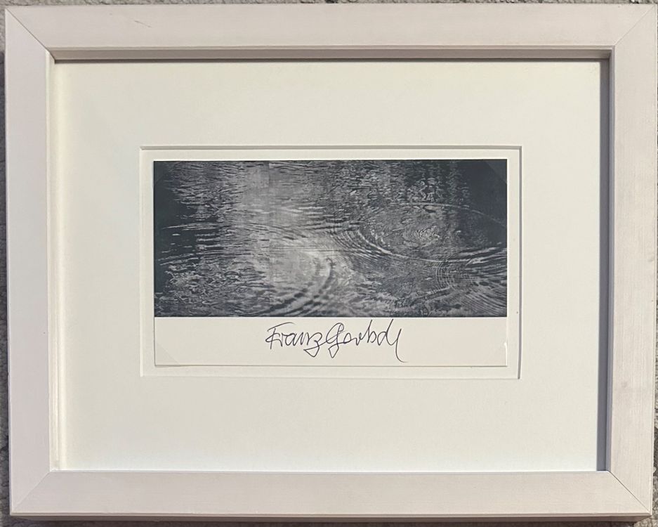 Franz Gertsch (1930-2022) Serigraphie Handsigniert (Gebraucht) in Root für CHF 209 – mit ...