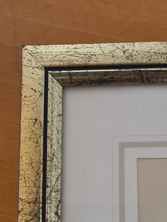 Bilder Graubündner Tracht und Tracht aus dem Verzaskatal (Gebraucht) in ...