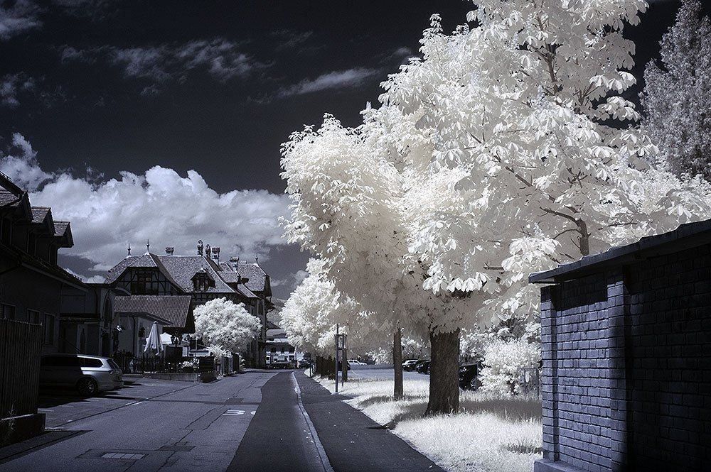 AKTION Nikon Infrarot IR (720nm) BODY - Classic White Trees! | Kaufen ...
