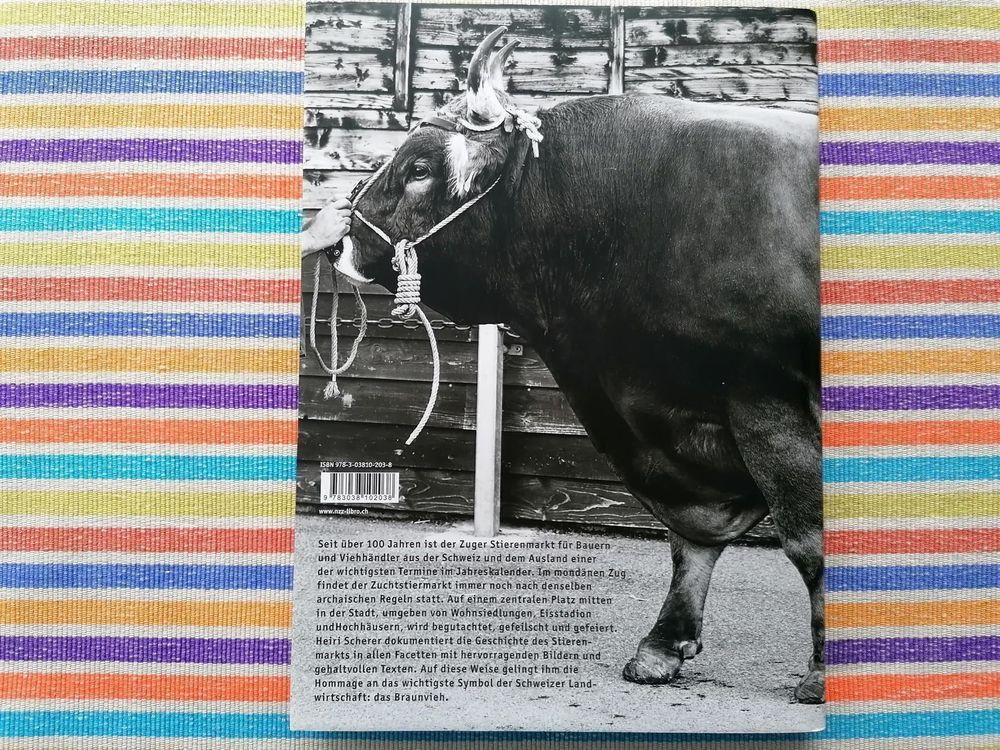 TOP Muni💥🌞 Der Zuger Stierenmarkt💥ESAF 2025 Armon Orlik (Neu (gemäss ...