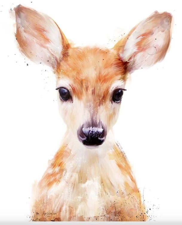 Bild auf Leinwand gezogen Little Deer Reh von Amy Hamilton (Neu und ...