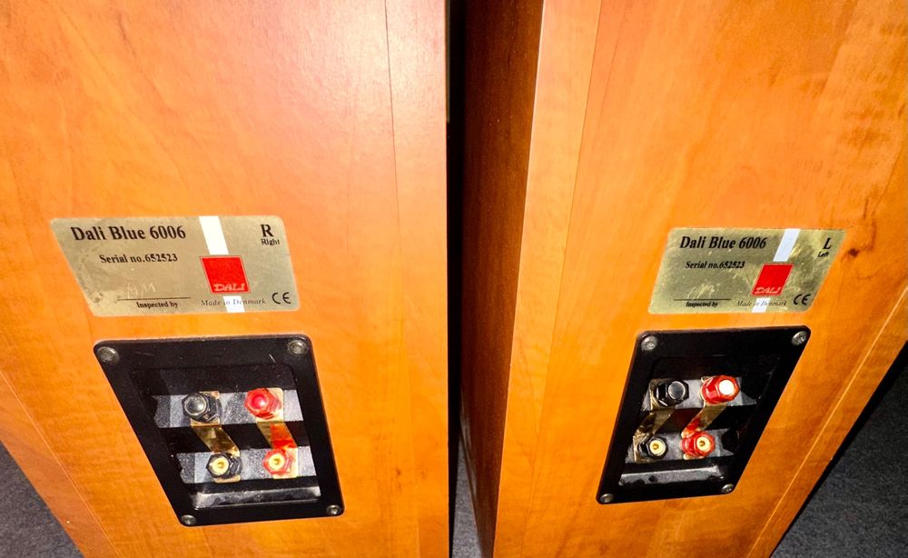 Dali Blue 6006 Stereo Lautsprecher (Gebraucht) in Aarau Rohr für CHF ...