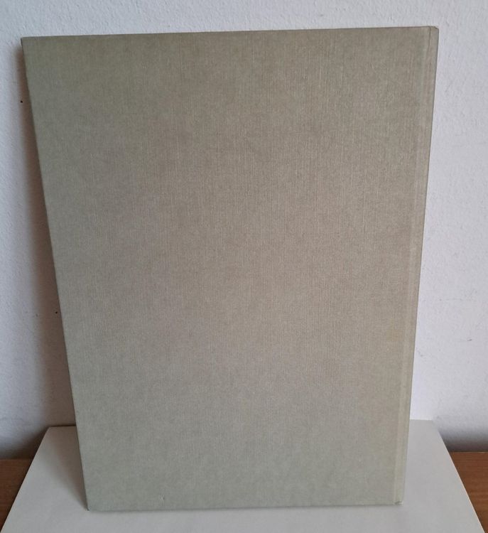 Als der Weihnachtsmann Feuer fing, Kinder-Weihnachtsbuch (Gebraucht) in ...